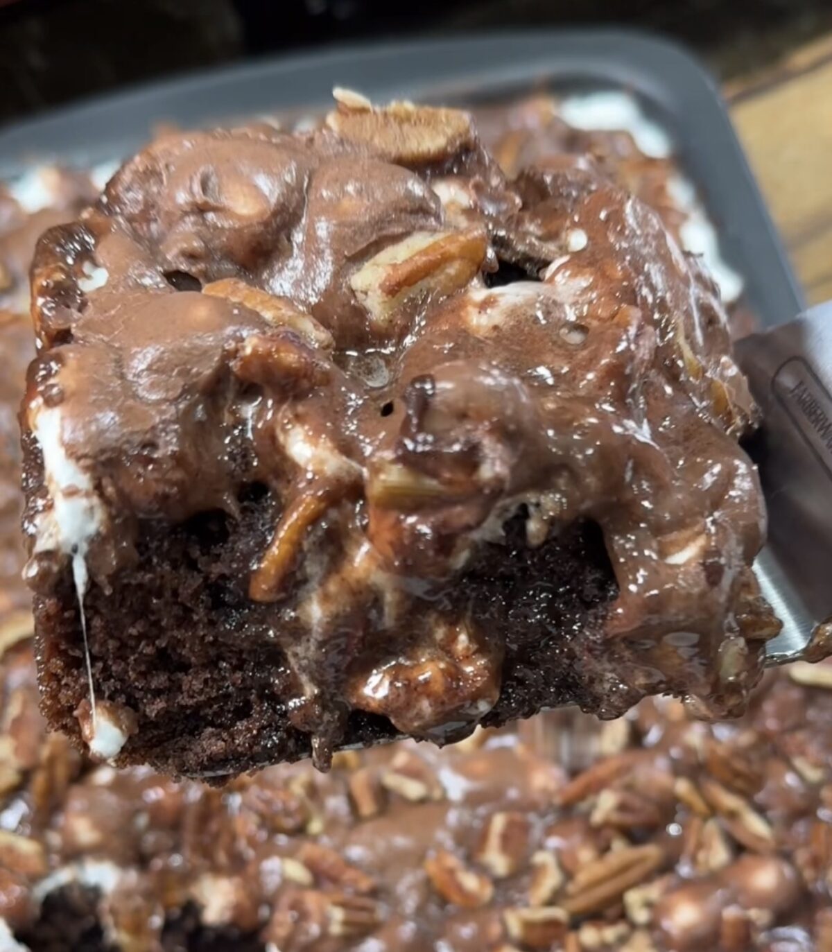 Mississippi Mud Poke Cake - Cooker of Deliciousness