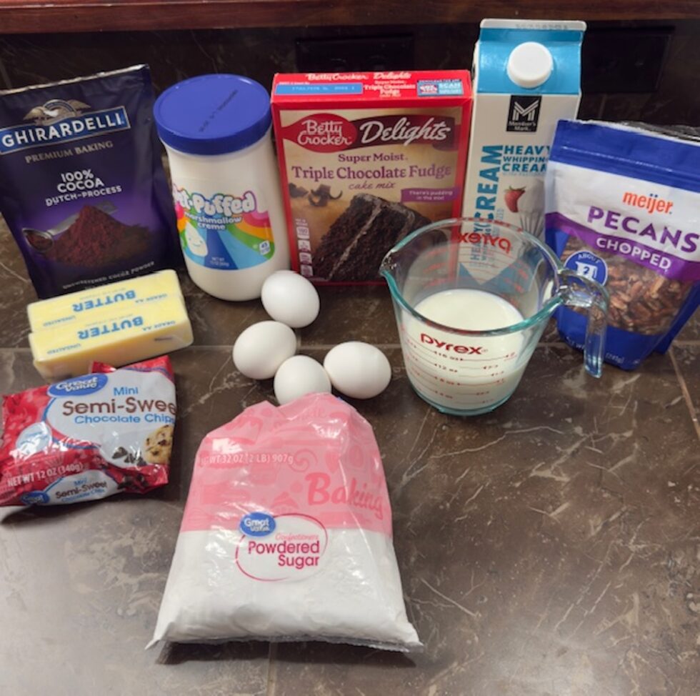 Mississippi Mud Cake (Poke Cake) - Cooker of Deliciousness